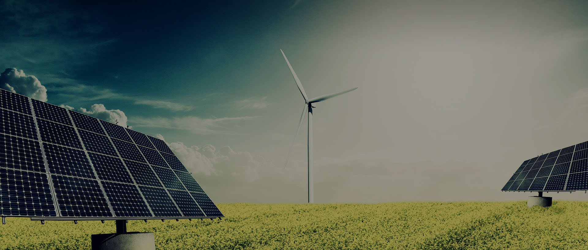 Green Generation Initiative - Green Generation Initiative